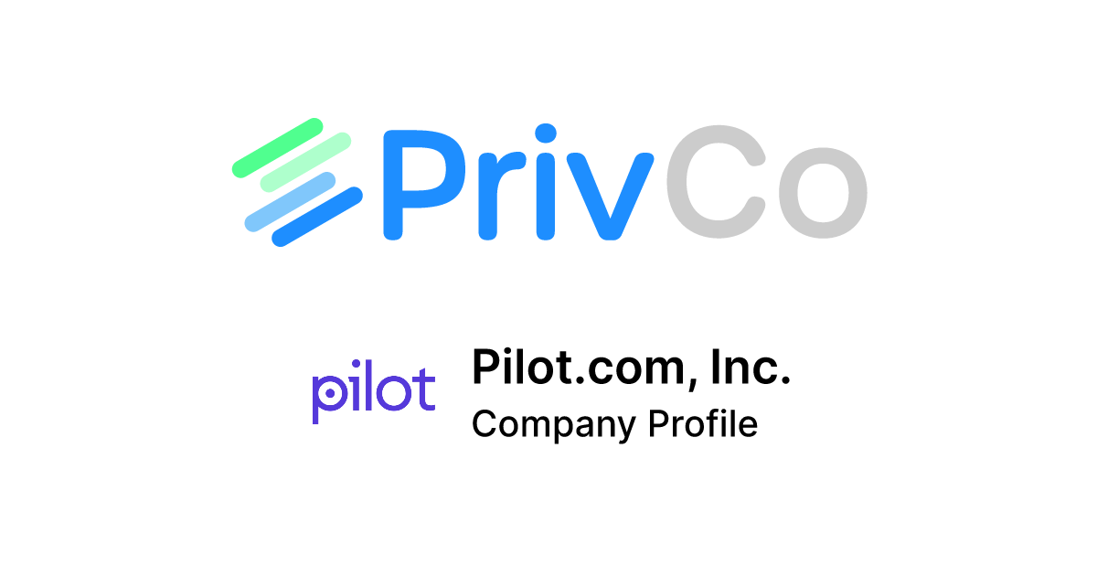 pilot group logo
